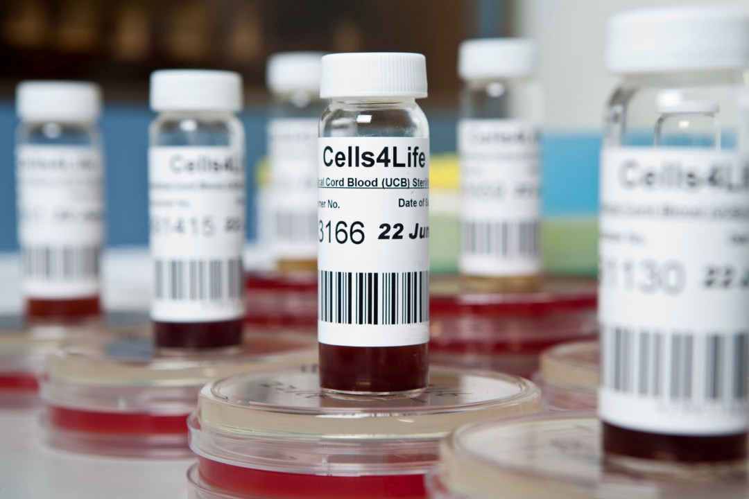 SEP2011_Cells4Life-2 | MedCells Cord Blood Banking