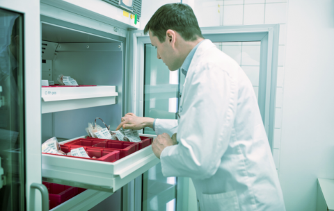 Why the Processing Method of Cord Blood Matters | MedCells Cord Blood ...