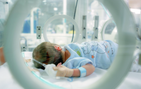 Placental-Derived Stem Cell Therapy for Premature Babies with ...